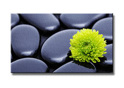 Business Signs | Custom Indoor & Outdoor Business Signage | Signazon