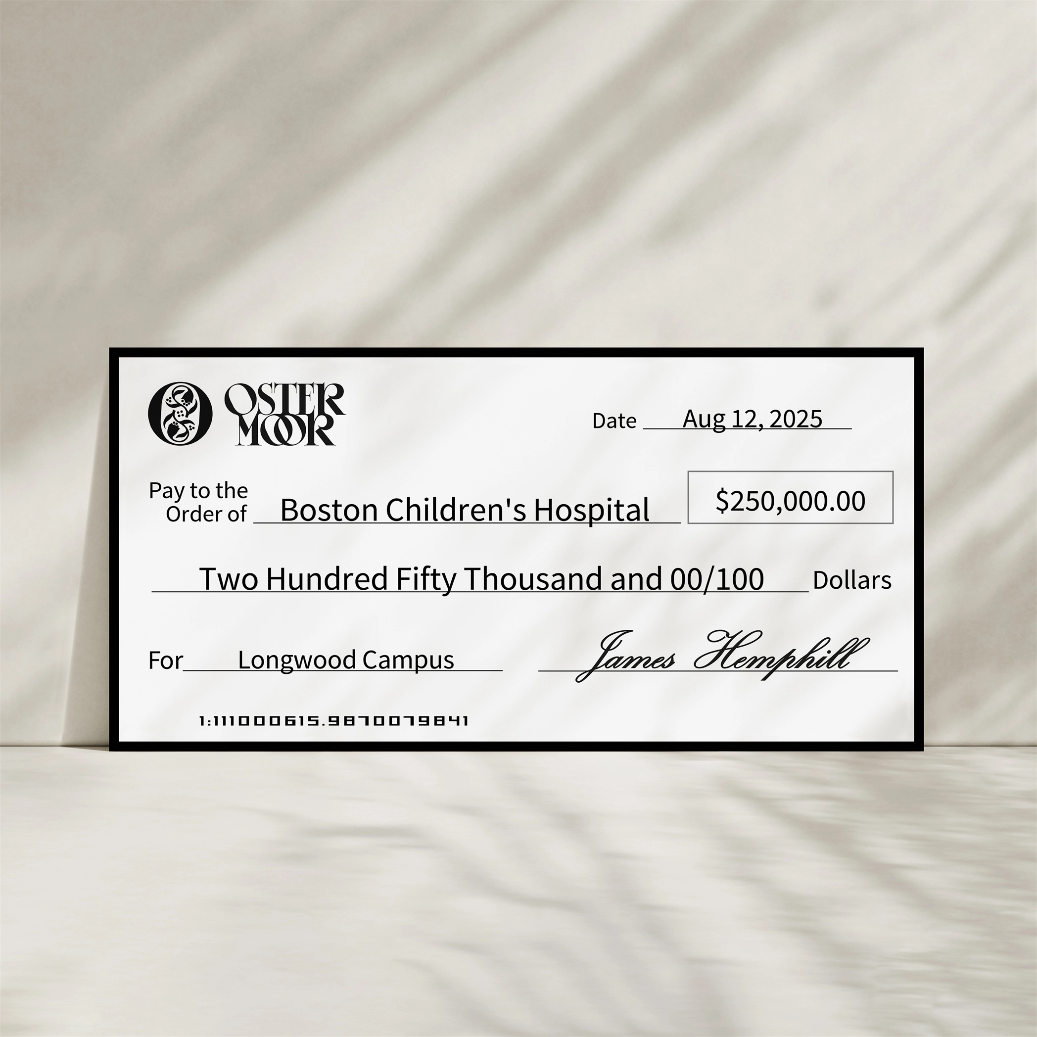 Big Checks | Custom Large Checks for Businesses | Signazon